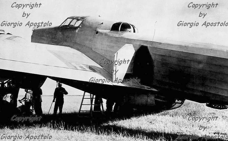 意大利的“汉普顿”——CMASA BGA型轰炸机 - 河城军工